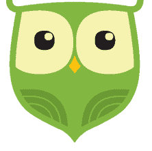 Cours particuliers à domicile ou chez les professeurs particuliers